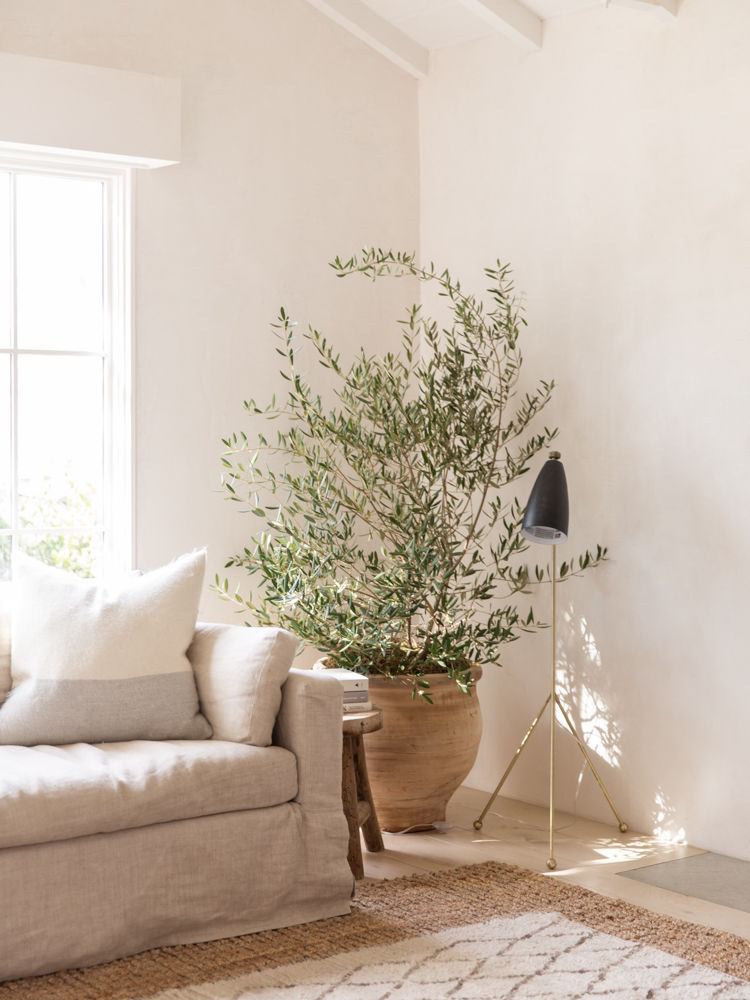 Тренды в дизайне интерьера 2023 года 200 фото тенденций Я Покупаю